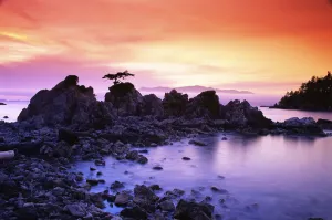 Benson Island Art Prints, Posters & Puzzles