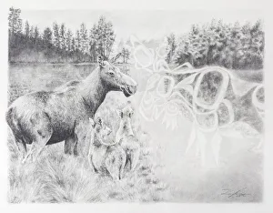 Haida Art Collection of Photo Prints and Gifts