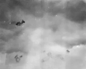 Shell Burst Art Prints, Posters & Puzzles