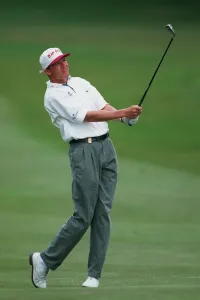 Sandelin Art Prints, Posters & Puzzles