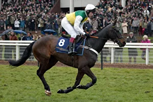 Trabolgan Art Prints, Posters & Puzzles