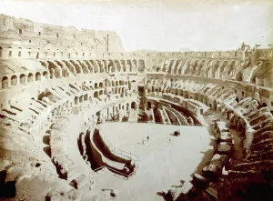 Colosseum in Rome Art Prints, Posters & Puzzles