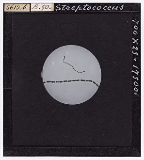 Media Storehouse: Research Subjects